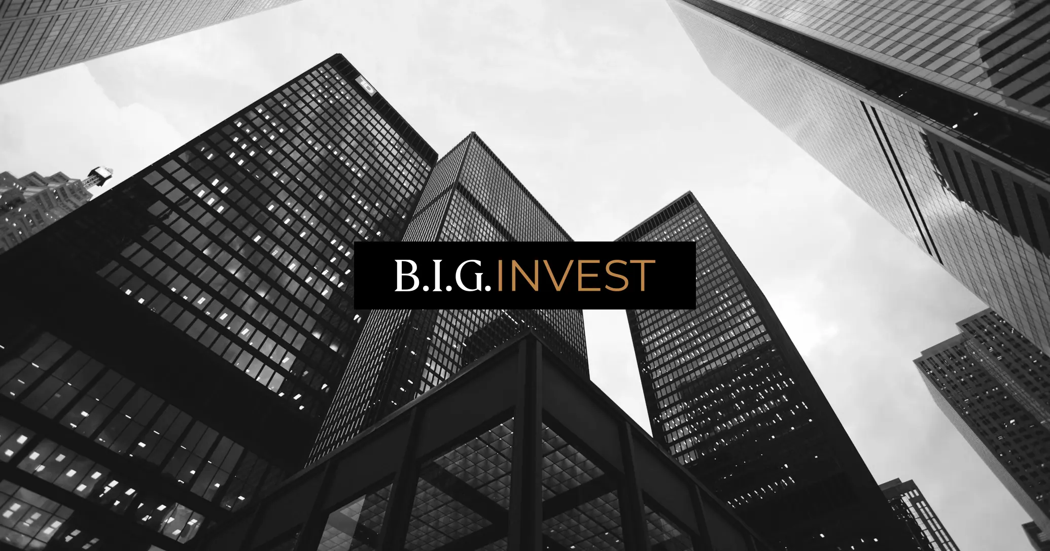 B.I.G. Invest | Chráníme výnos vašich investic
